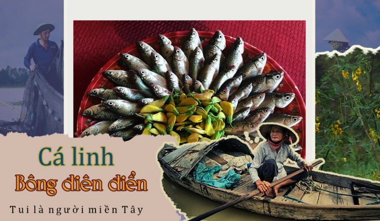 Đặc sản mùa nước nổi: Về miền Tây ăn canh chua cá linh bông điên điển ...
