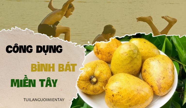 Trái bình bát ăn như thế nào? Trái cây độc lạ ở miền Tây gắn liền với ...