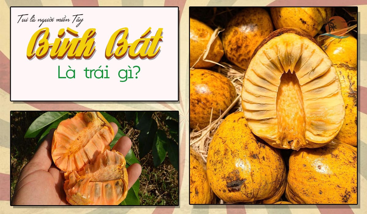 Cách ăn trái bình bát đúng chuẩn bà con miền Tây